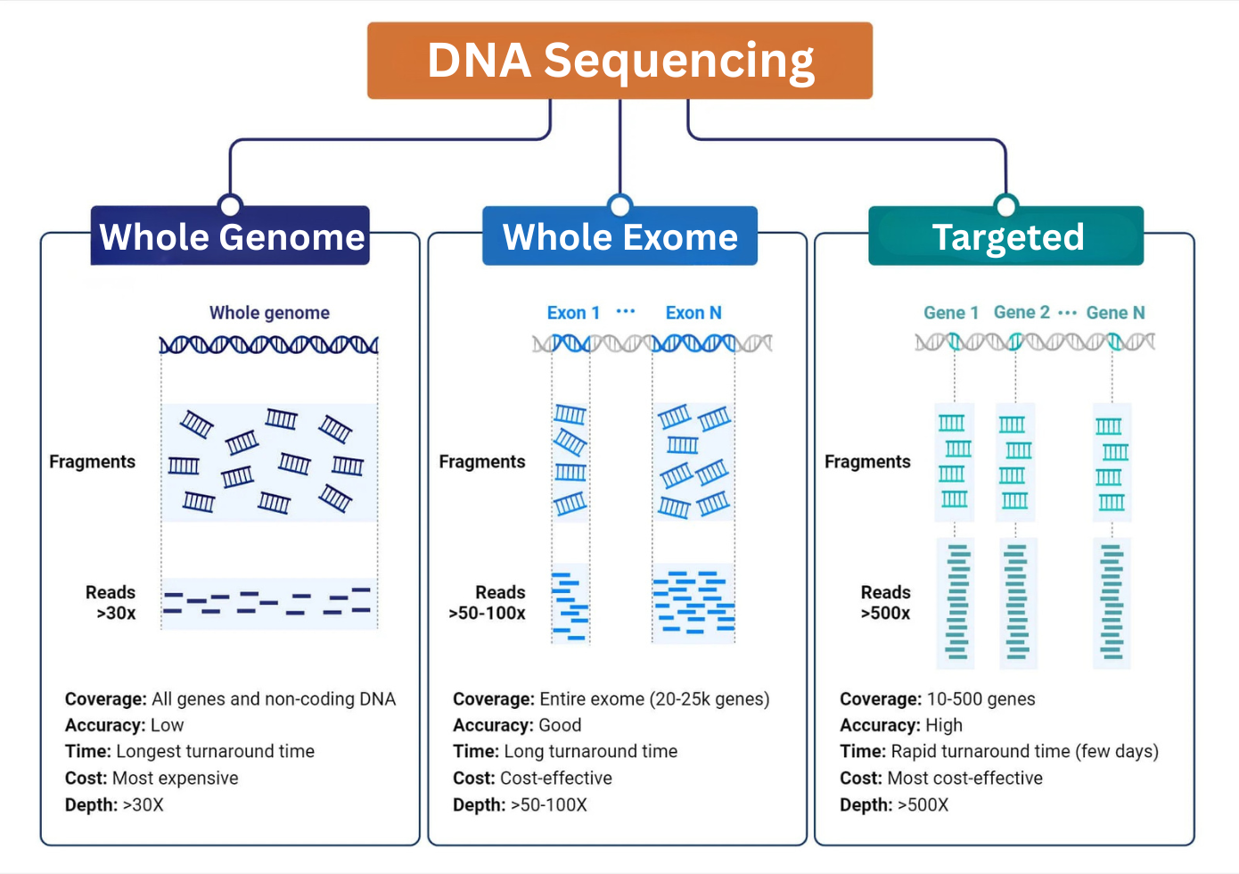 How To Analyze Whole Exome Sequencing Data For Absolute Beginners: From ...