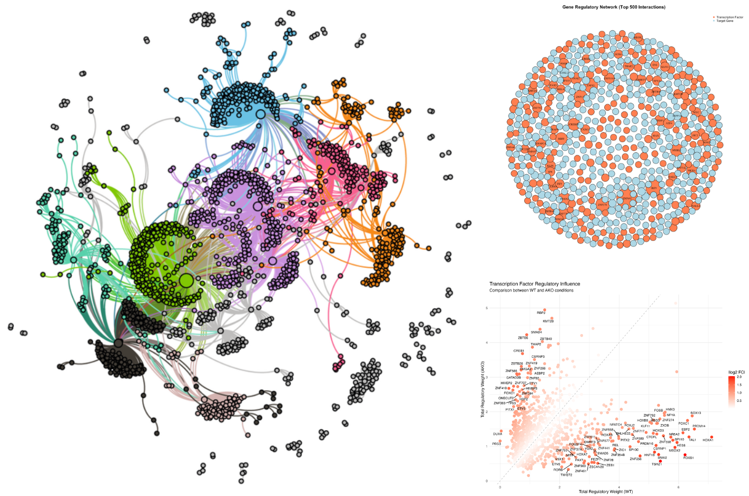 How to Build Gene Regulatory Networks from RNA-seq Data Using GENIE3 ...