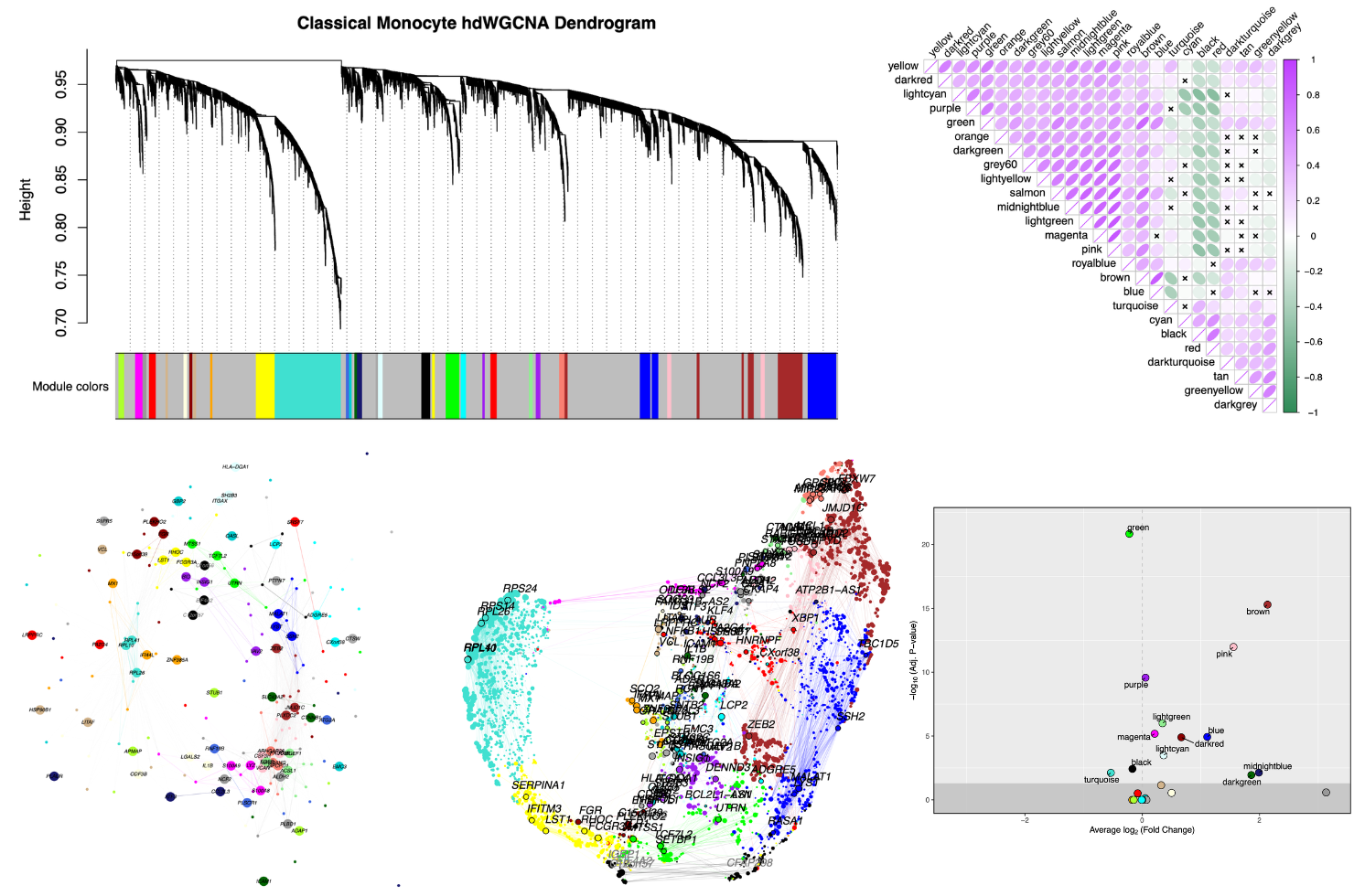 How to Analyze Single-Cell RNA-seq Data - Complete Beginner's Guide ...