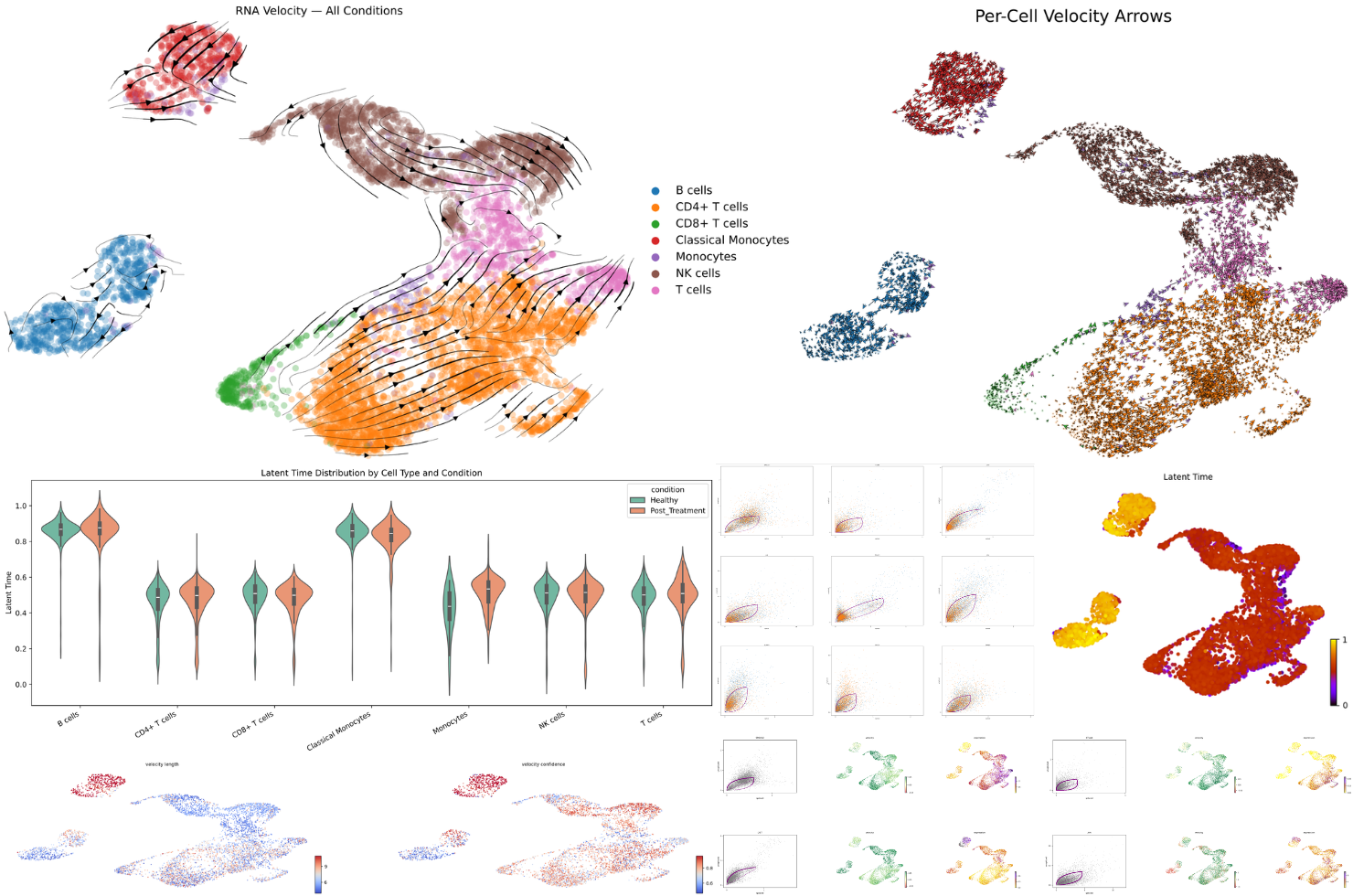 How to Analyze Single-Cell RNA-seq Data — Complete Beginner's Guide ...